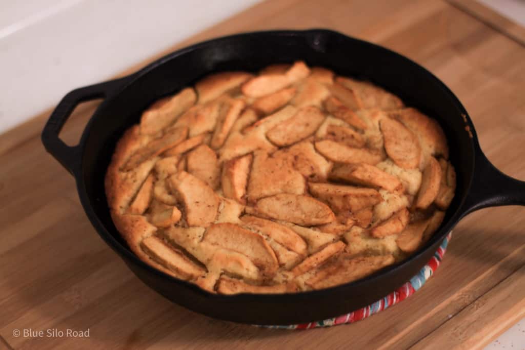 Old Fashioned Apple Skillet Cake - Blue Silo Road